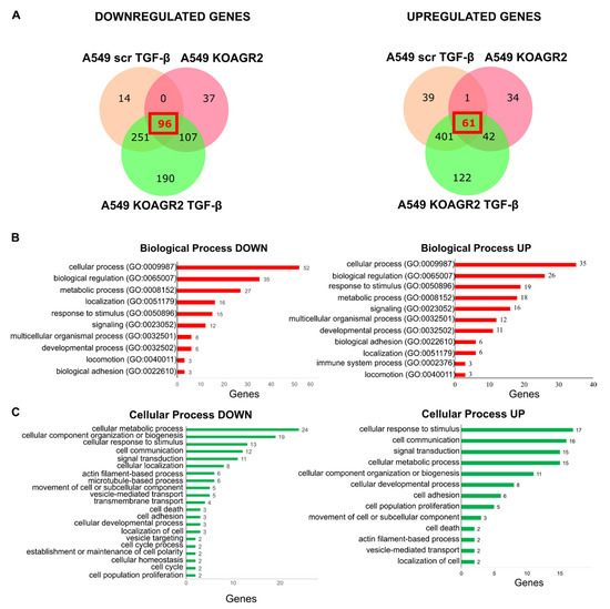 Identification of AGR2 Gene-Specific Expression Patterns Associated ...