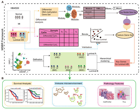 Classification of Subgroups with Immune Characteristics Based on DNA ...