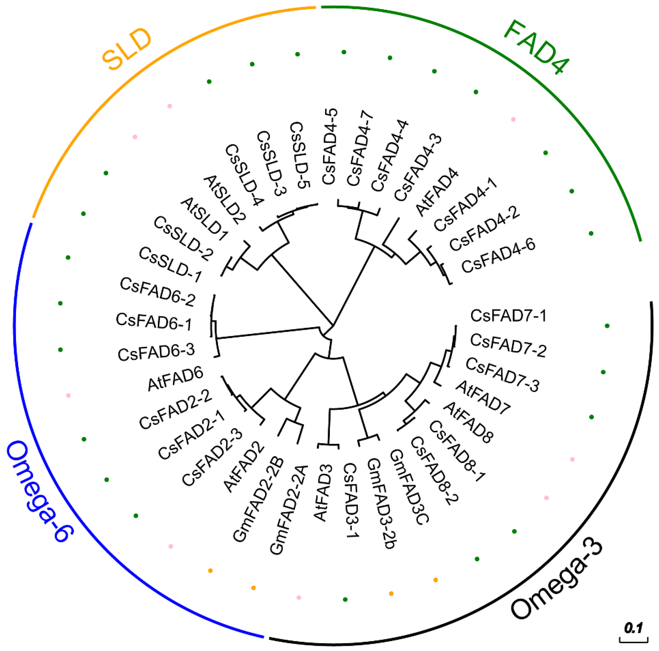 Genome-Wide Identification and Expression Analysis of Fatty Acid ...