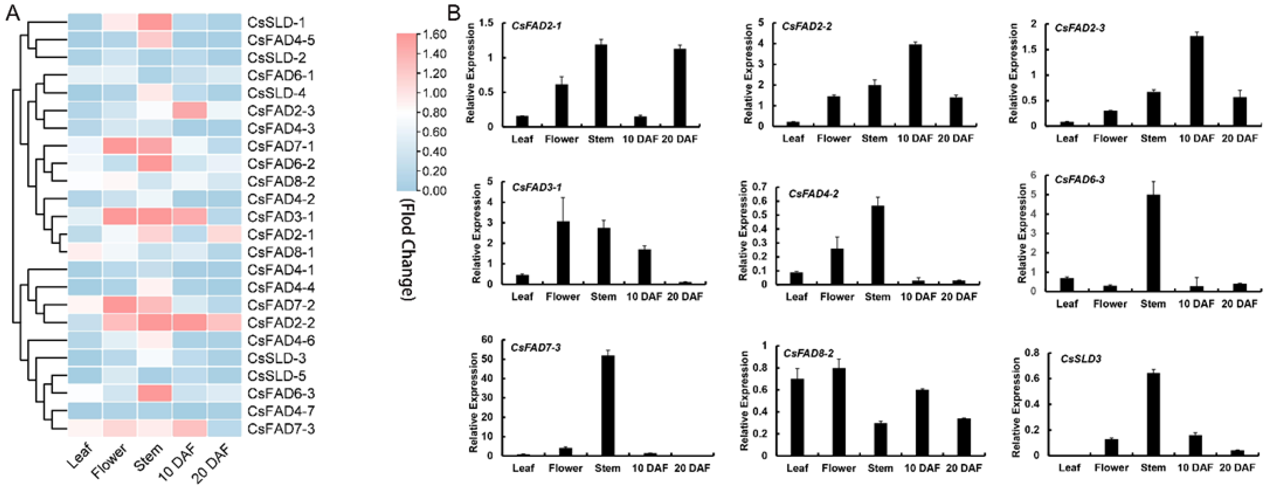 Genome-Wide Identification and Expression Analysis of Fatty Acid ...