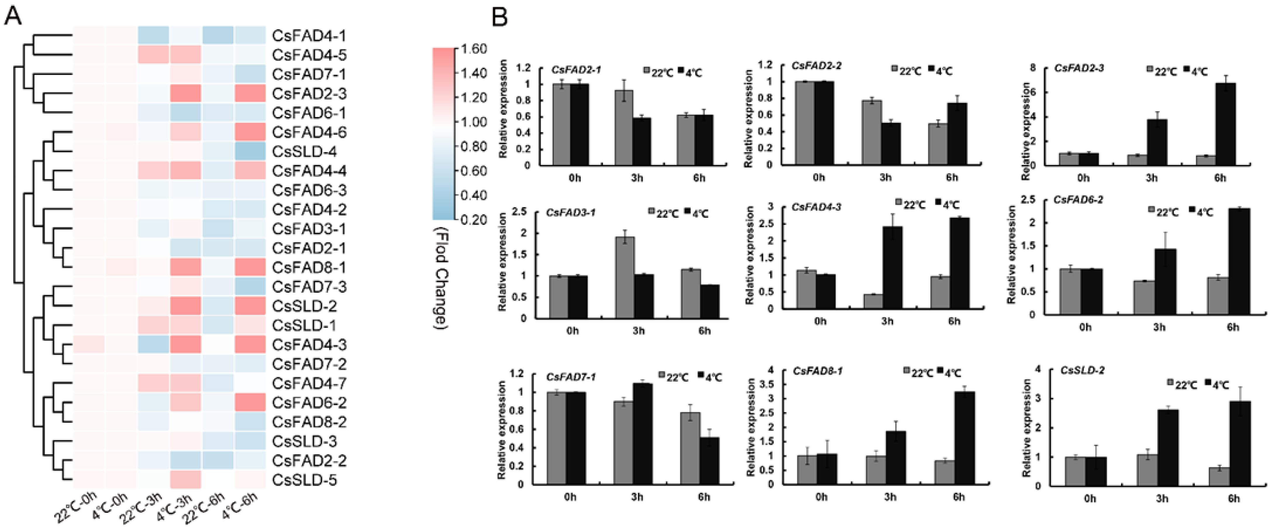 Genome-Wide Identification and Expression Analysis of Fatty Acid ...