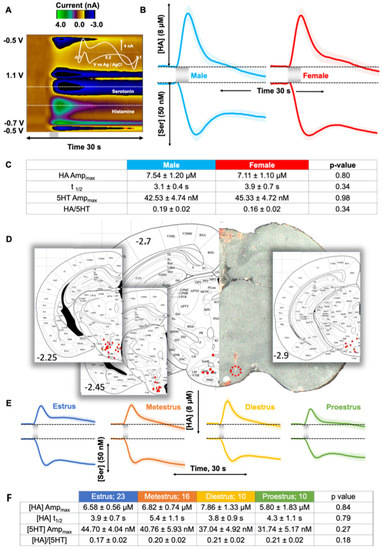 An In Vivo Definition of Brain Histamine Dynamics Reveals Critical ...