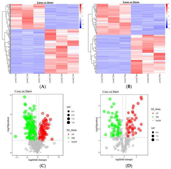 IJMS | Free Full-Text | Metabolomic Profiling and Assessment of ...