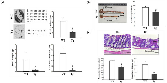 Dysbiosis of Fecal Microbiota in Tg2576 Mice for Alzheimer’s Disease ...