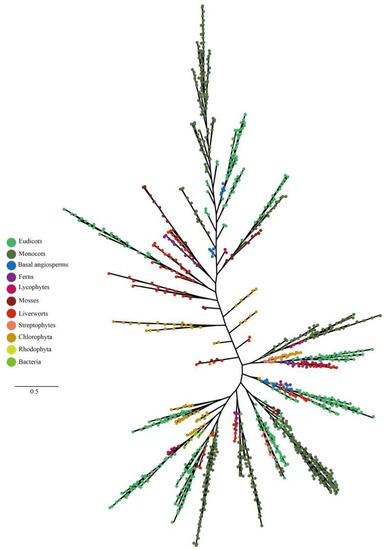 Phylogenetic, Structural and Functional Evolution of the LHC Gene ...