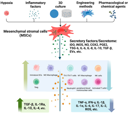 Pretreated Mesenchymal Stem Cells and Their Secretome: Enhanced ...