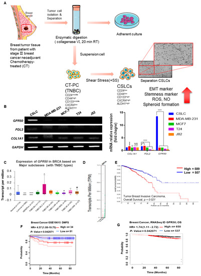 The Orphan GPR50 Receptor Regulates the Aggressiveness of Breast Cancer ...