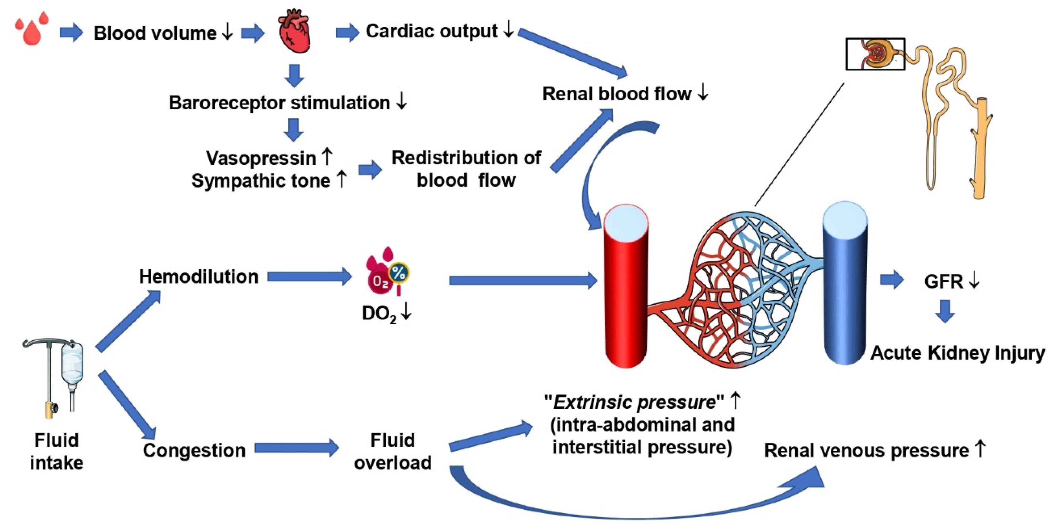 IJMS Free Full Text Norepinephrine And Vasopressin In Hemorrhagic IJMS Free Full Text Norepinephrine And Vasopressin In Hemorrhagic