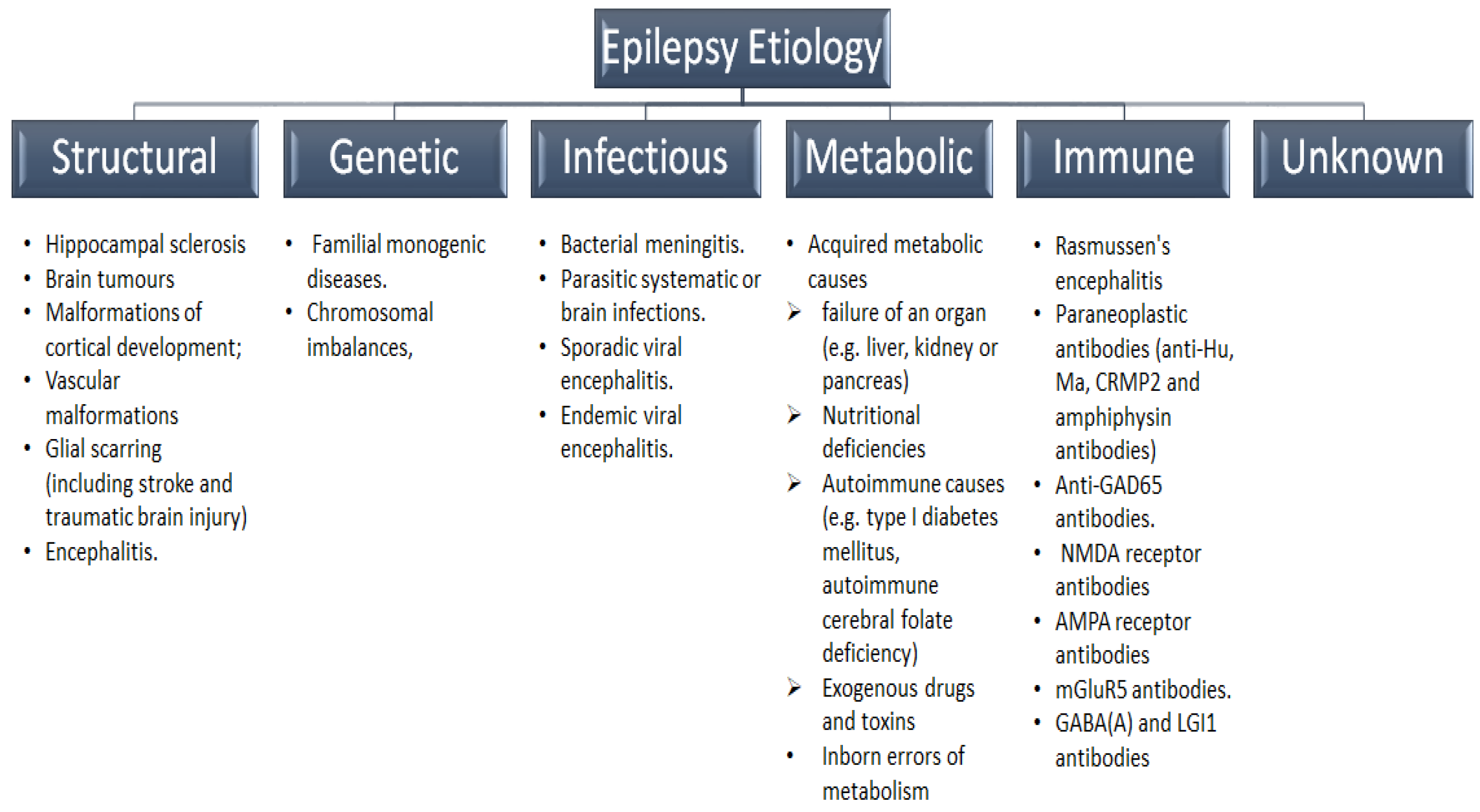 Epilepsy Types Epilepsy Types
