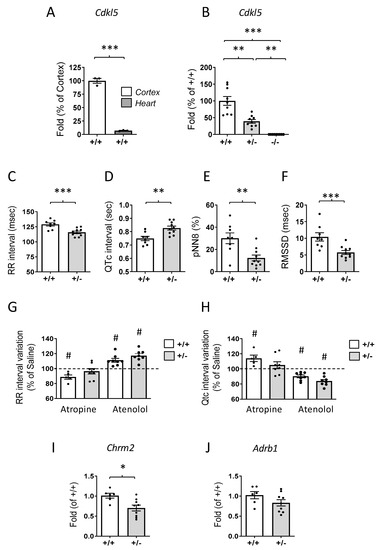 Cardiac Functional and Structural Abnormalities in a Mouse Model of ...