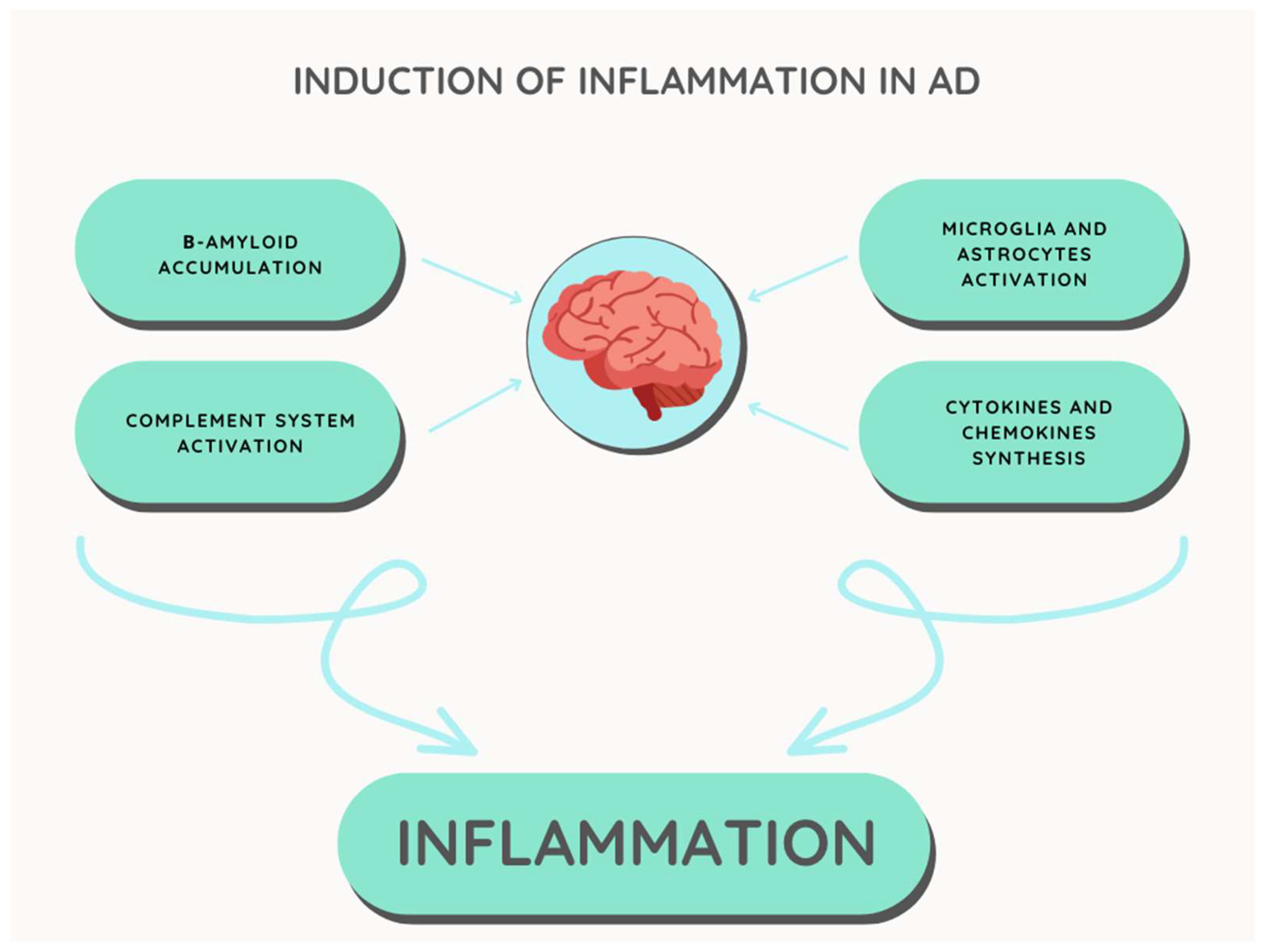 IJMS Free Full Text Inflammatory Processes In Alzheimer s Disease IJMS Free Full Text Inflammatory Processes In Alzheimer s Disease