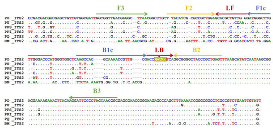 Genetic Authentication of the Medicinal Plant Portulaca oleracea Using ...