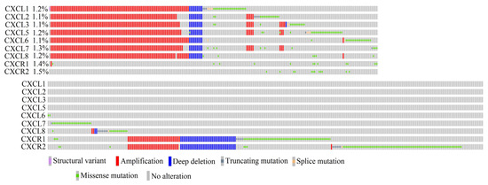 IJMS | Free Full-Text | Bioinformatic Analysis of the CXCR2 Ligands in ...