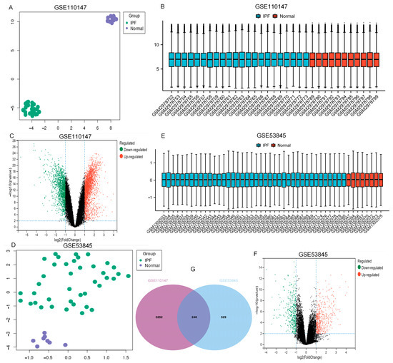 IJMS | Free Full-Text | Underlying Molecular Mechanism and Construction of a miRNA-Gene Network ...