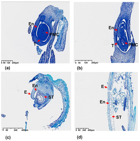 Genetic Analysis of Novel Fertility Restoration Genes (qRf3 and qRf6 ...