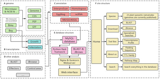 The Plant Parasitic Nematodes Database: A Comprehensive Genomic Data ...