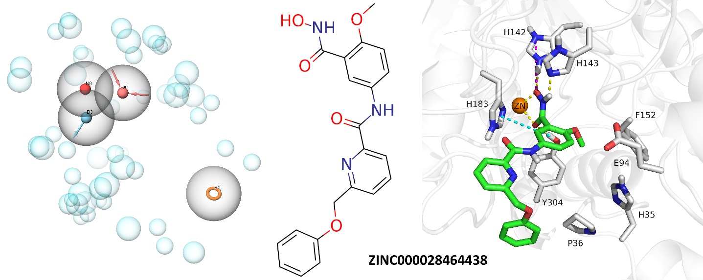 IJMS | Free Full-Text | Comparative Structure-Based Virtual Screening Utilizing Optimized ...