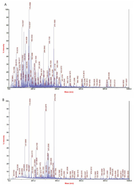 Anti-Photoaging Effects of Upcycled Citrus junos Seed Anionic Peptides on Ultraviolet-Radiation ...