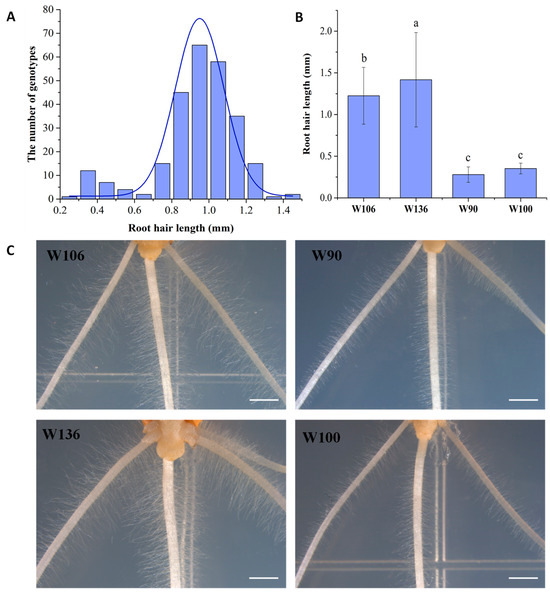Comparative Transcriptome Analysis Reveals the Genes and Pathways ...