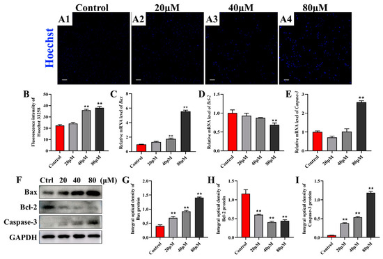 MDPI - Publisher of Open Access Journals