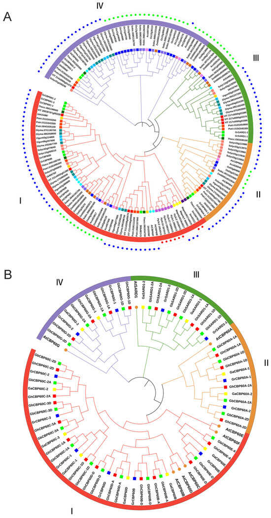 Genome-Wide Identification of Calmodulin-Binding Protein 60 Gene Family ...
