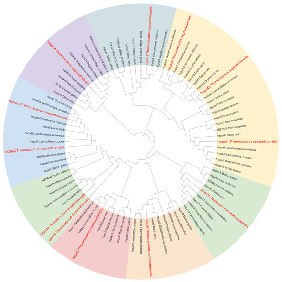 Ijms Free Full Text Genome Wide Identification Molecular