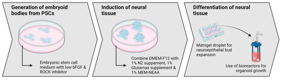 Morphogenetic Designs, and Disease Models in Central Nervous System ...