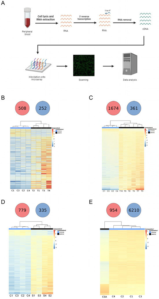 Whole Blood Transcriptome Analysis in Congenital Anemia Patients