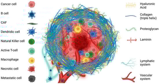 The Multifaced Role of Collagen in Cancer Development and Progression