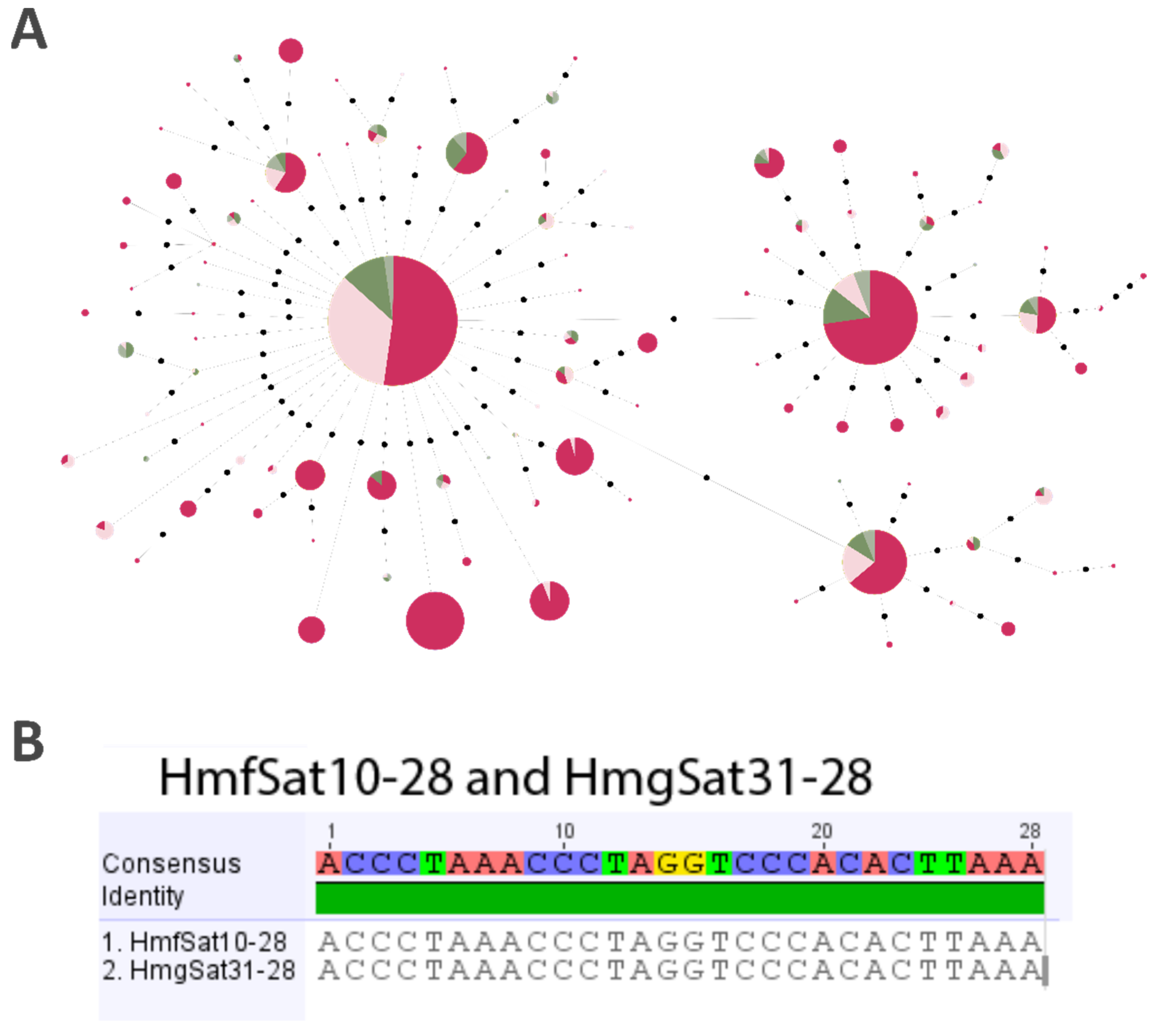 Repeatome Dynamics And Sex Chromosome Differentiation In The Xy And