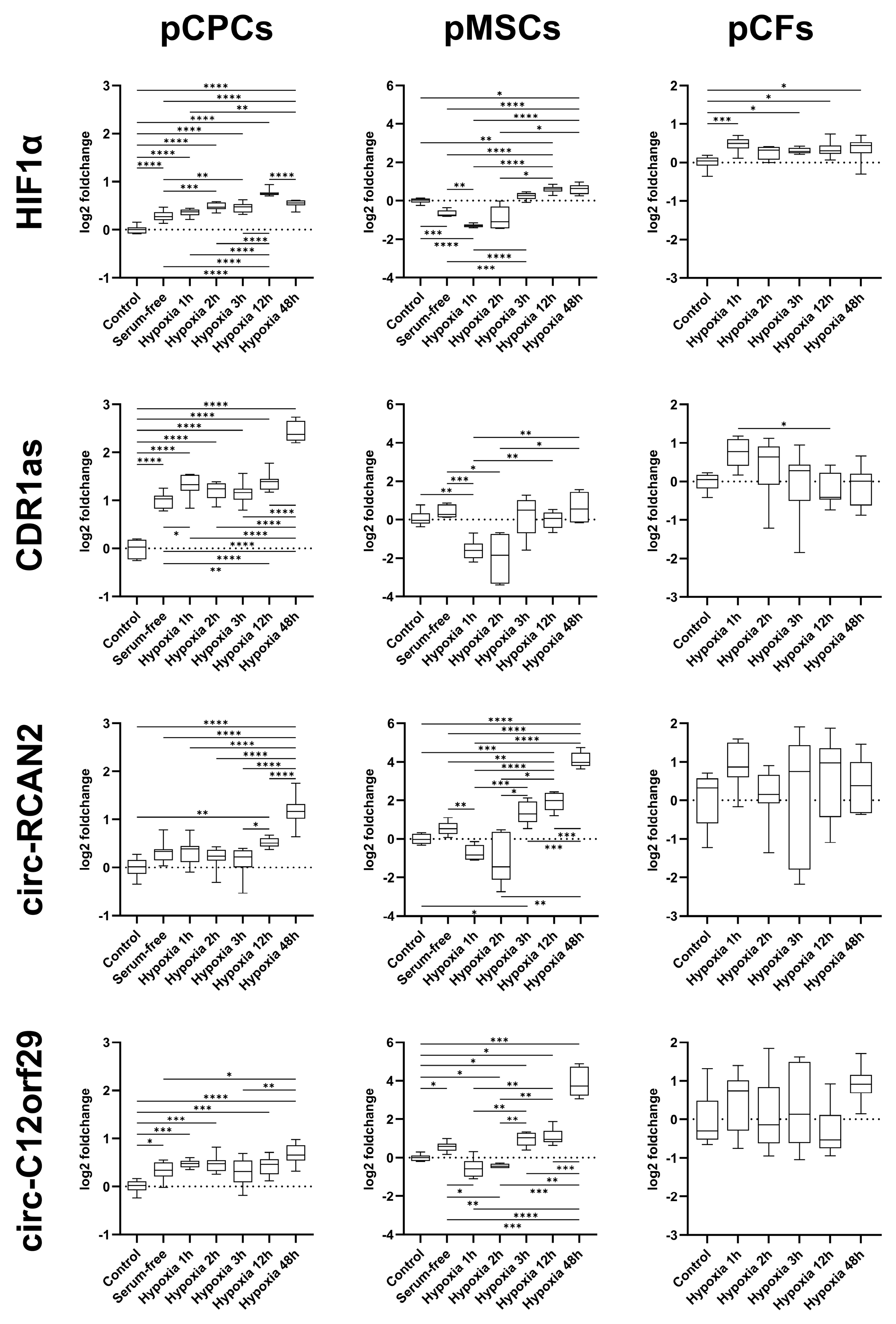 Cardiac Circular RNAs CDR1as, Circ-RCAN2, Circ-C12orf29 Show Cell ...