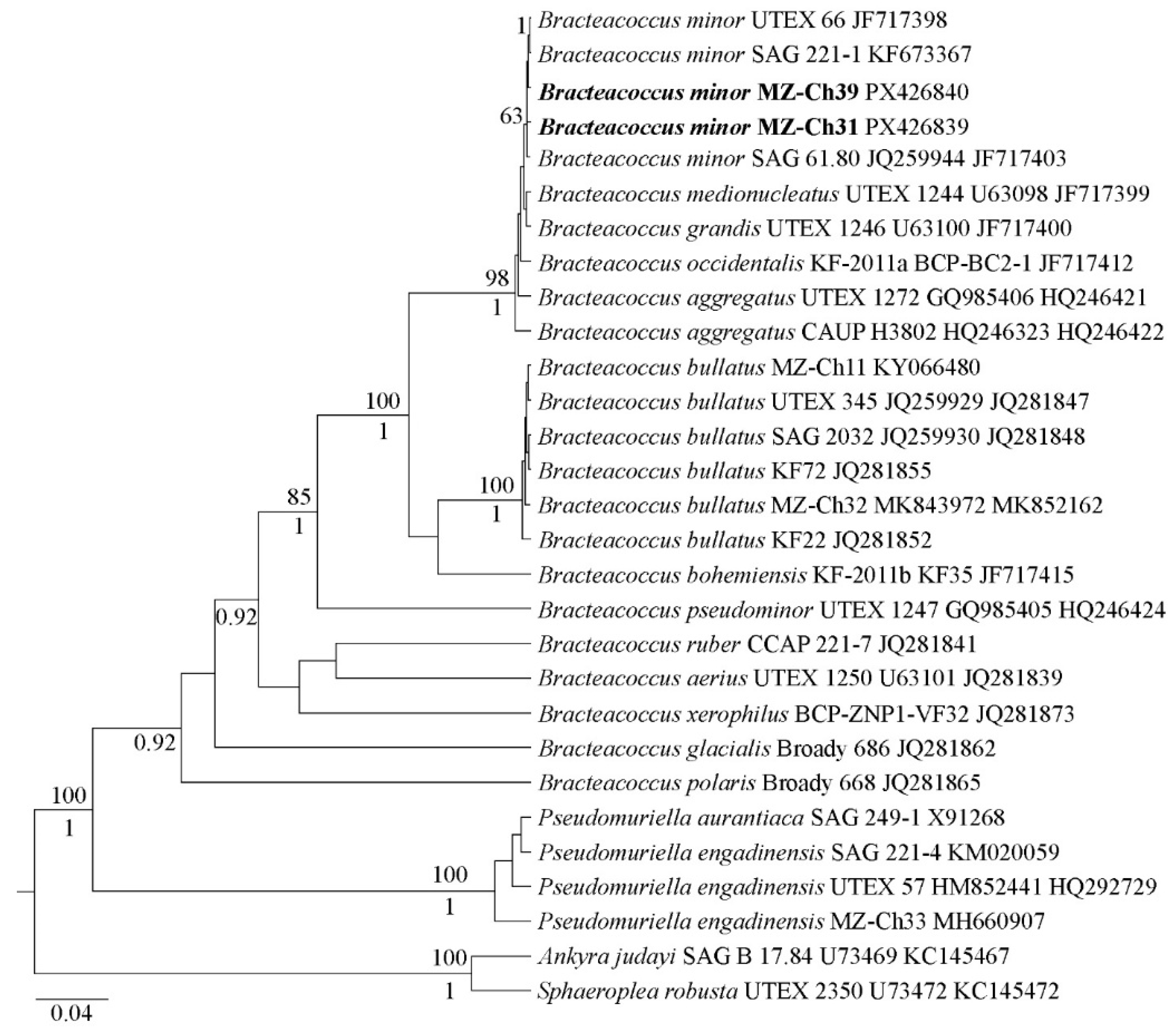 A Comparative Study of the Antioxidant Status and Biotechnological ...