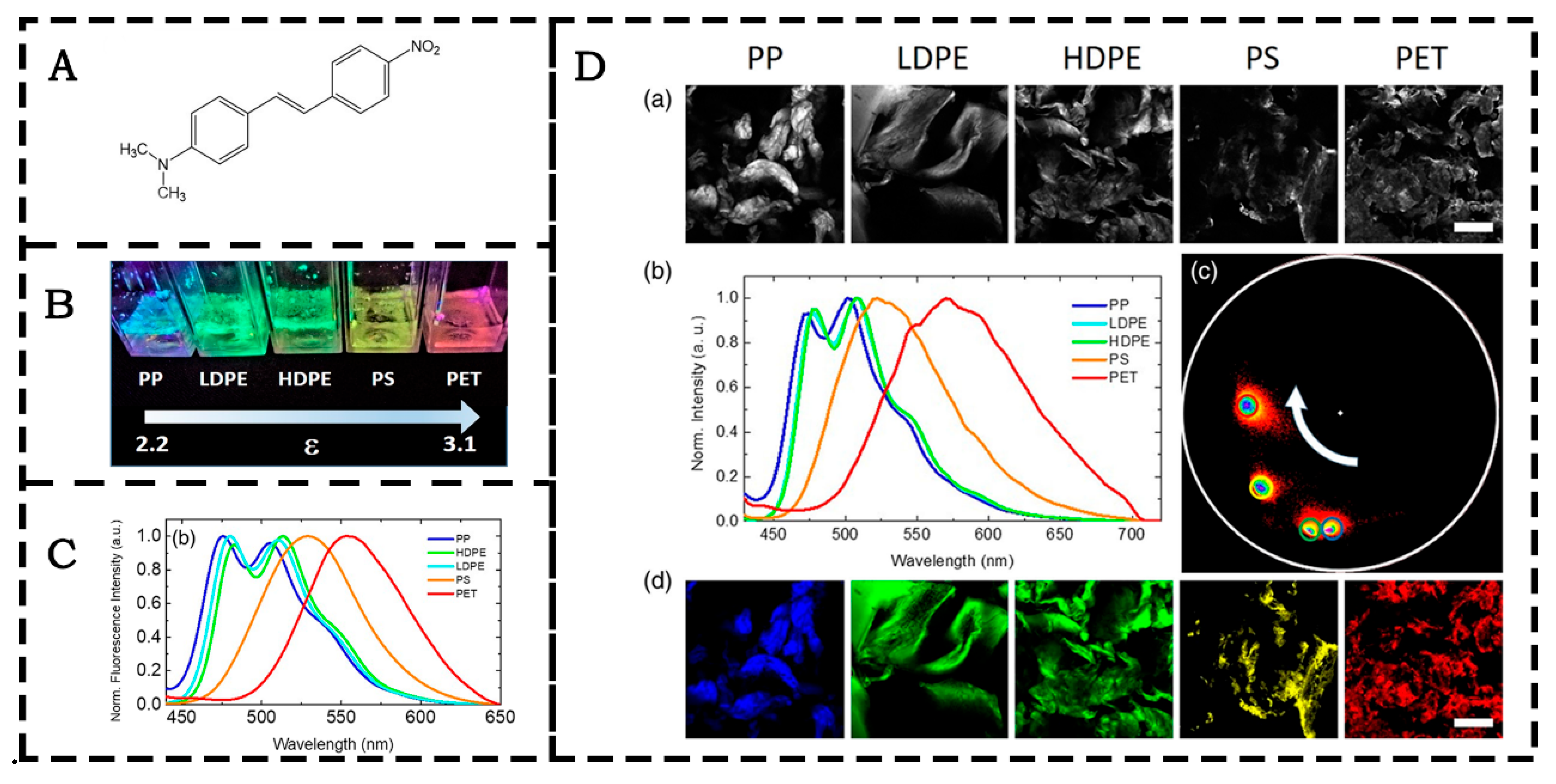 Illuminating the Invisible: Fluorescent Probes as Emerging Tools for ...