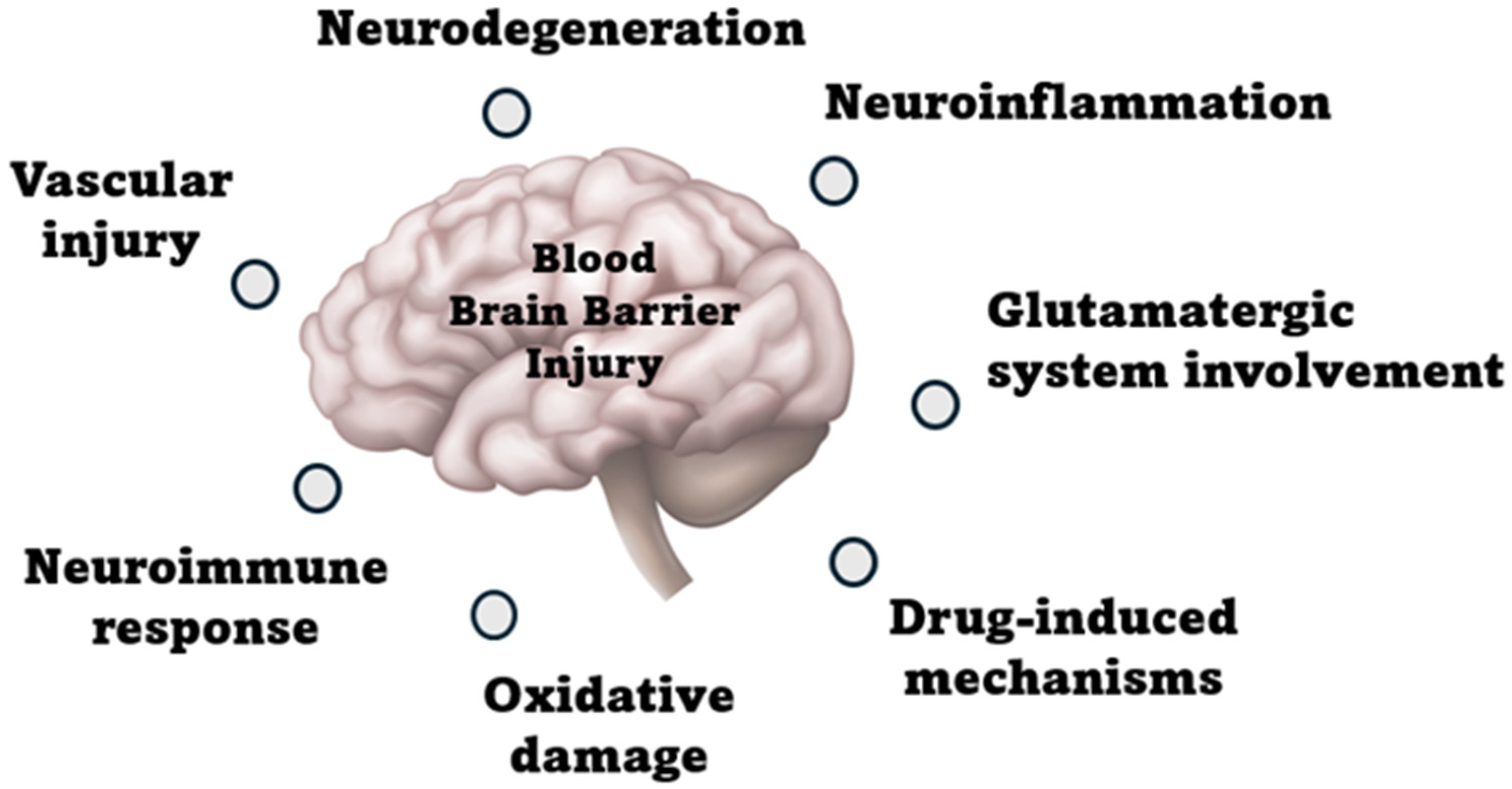 Post-Operative Delirium in Elderly Patients: A Narrative Review