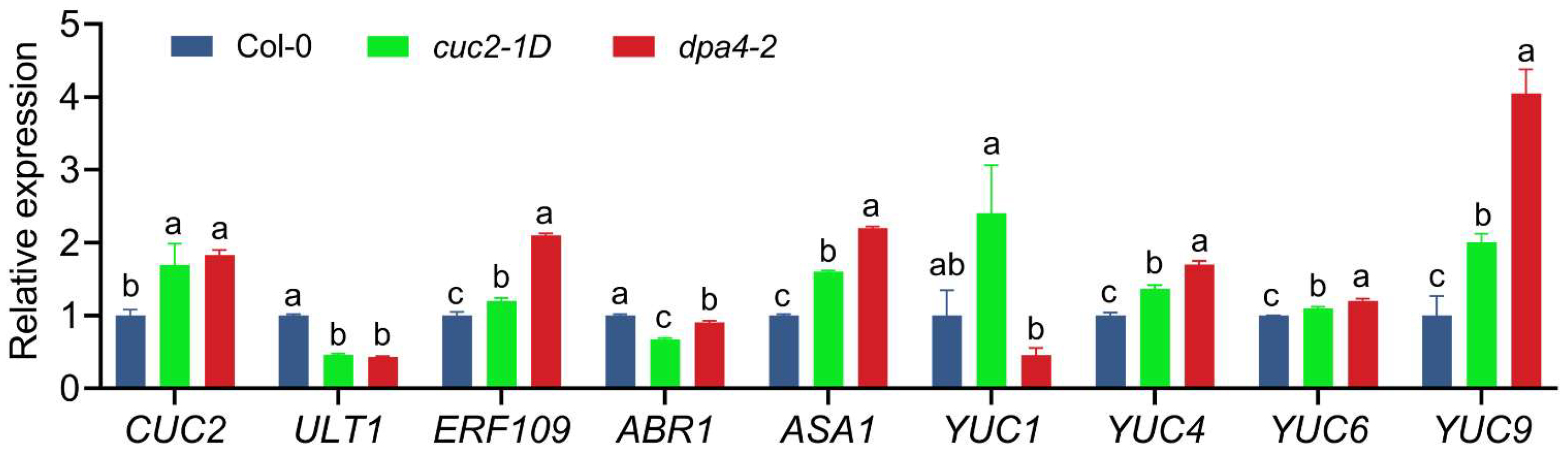 DPA4 Suppresses Adventitious Root Formation via Transcriptional ...