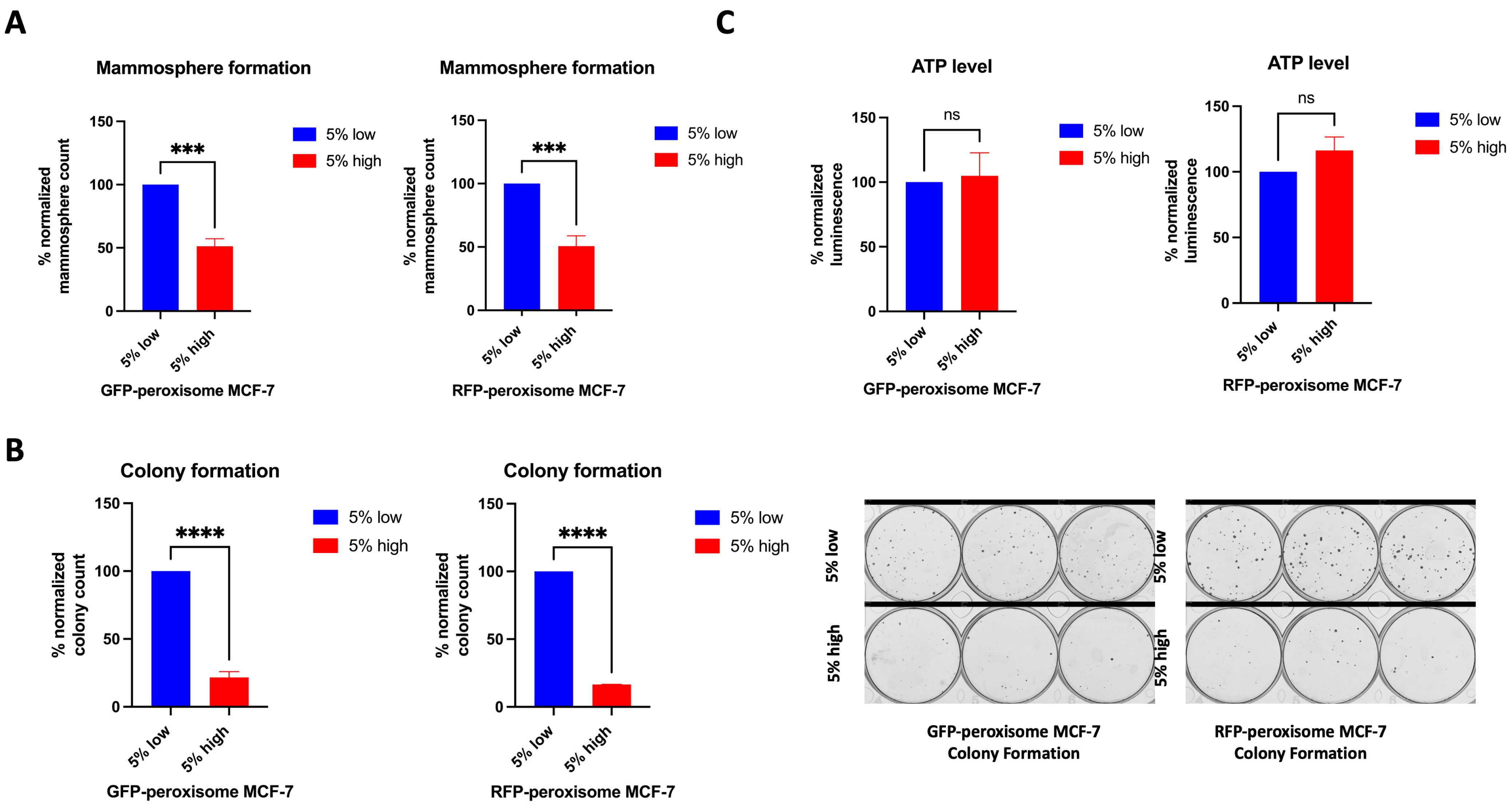 Investigating the Role of Peroxisomes in Regulating Breast Cancer Stem ...