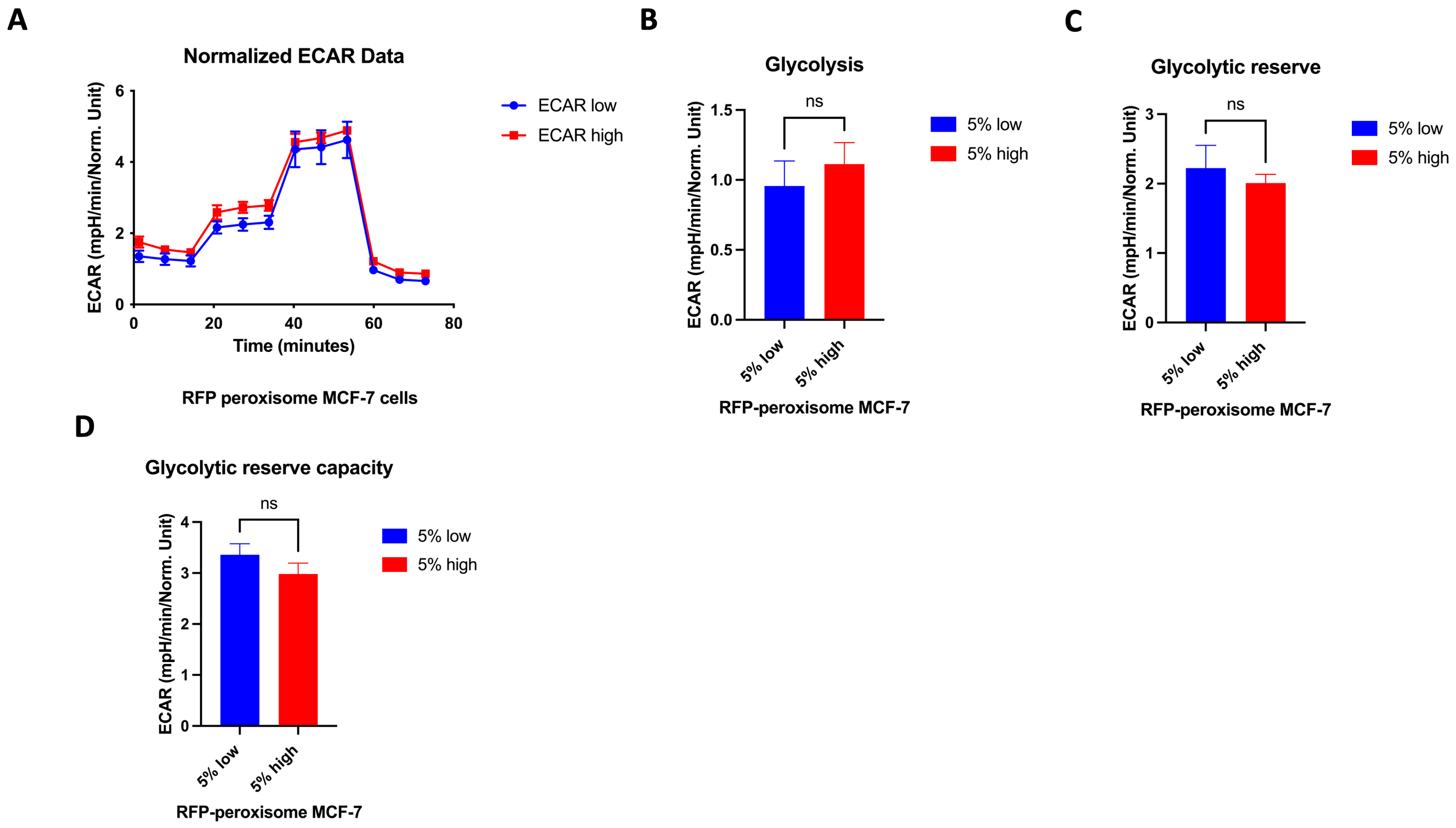 Investigating the Role of Peroxisomes in Regulating Breast Cancer Stem ...