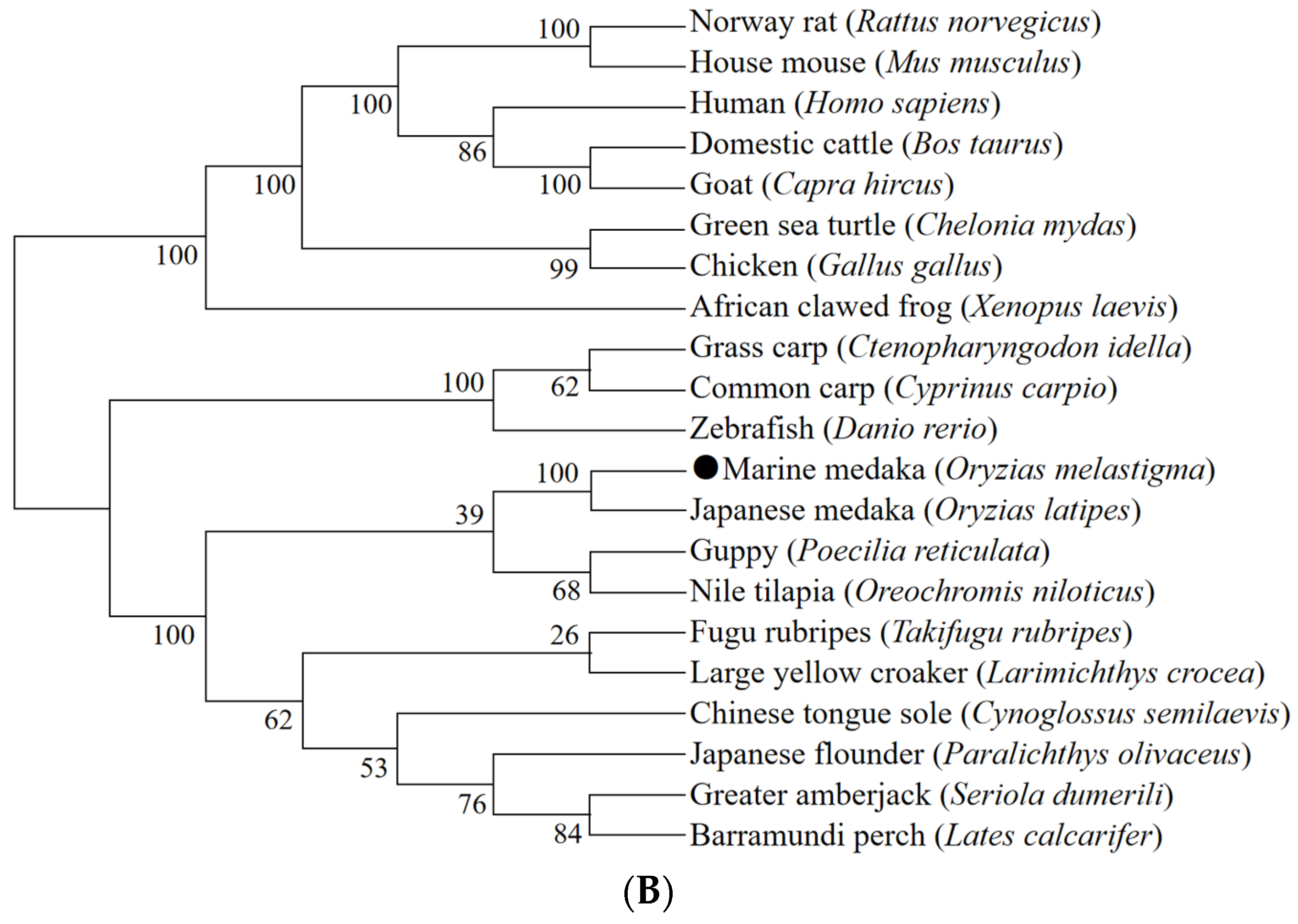 Screening and Identification of Hnf1ba-slc12a1 Signal Pathway in ...
