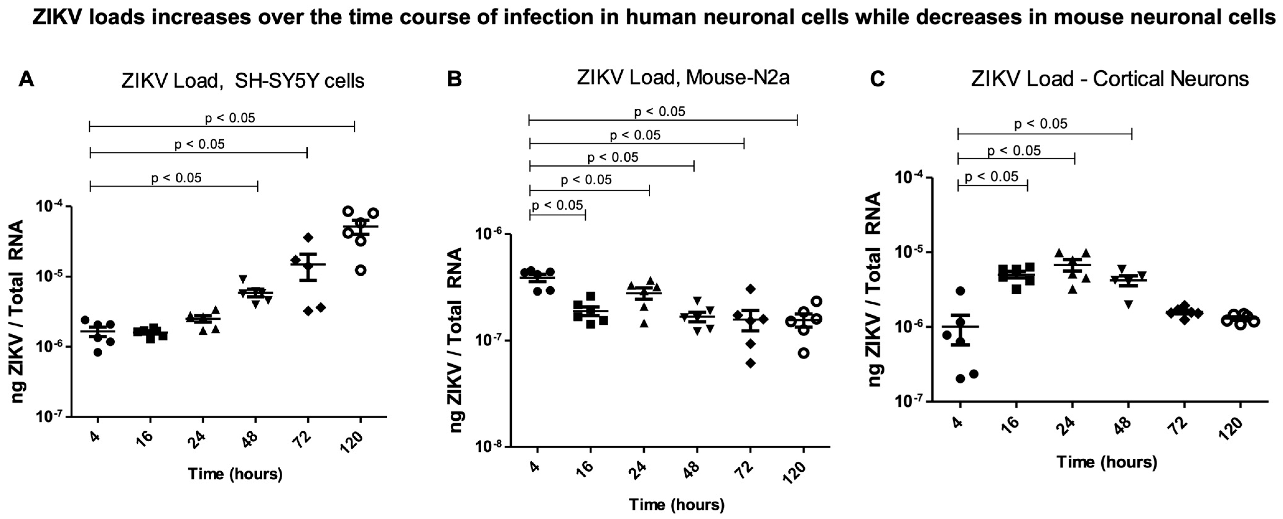 Zika Virus Infection Is More Highly Replicative and Transmissible by ...