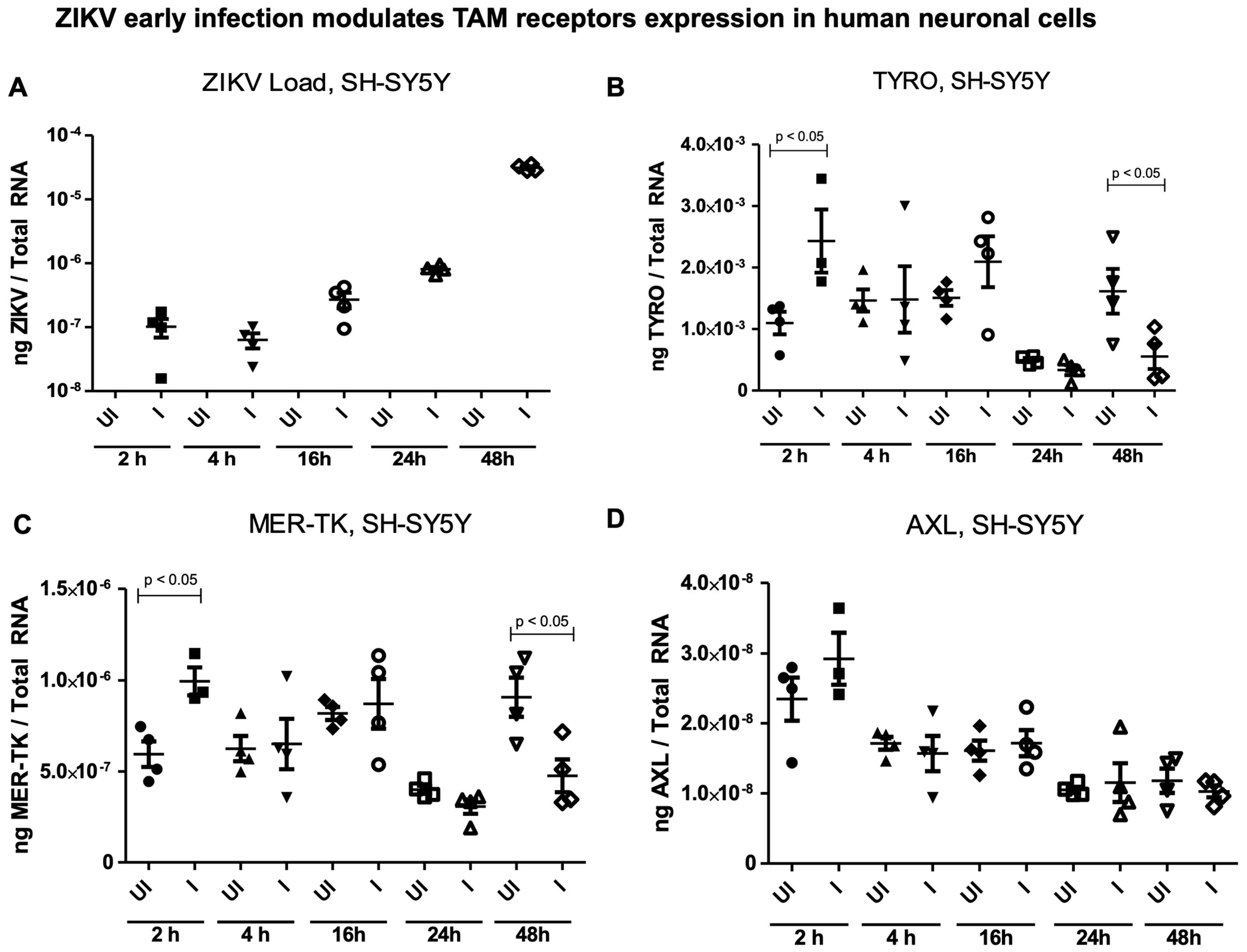 Zika Virus Infection Is More Highly Replicative and Transmissible by ...