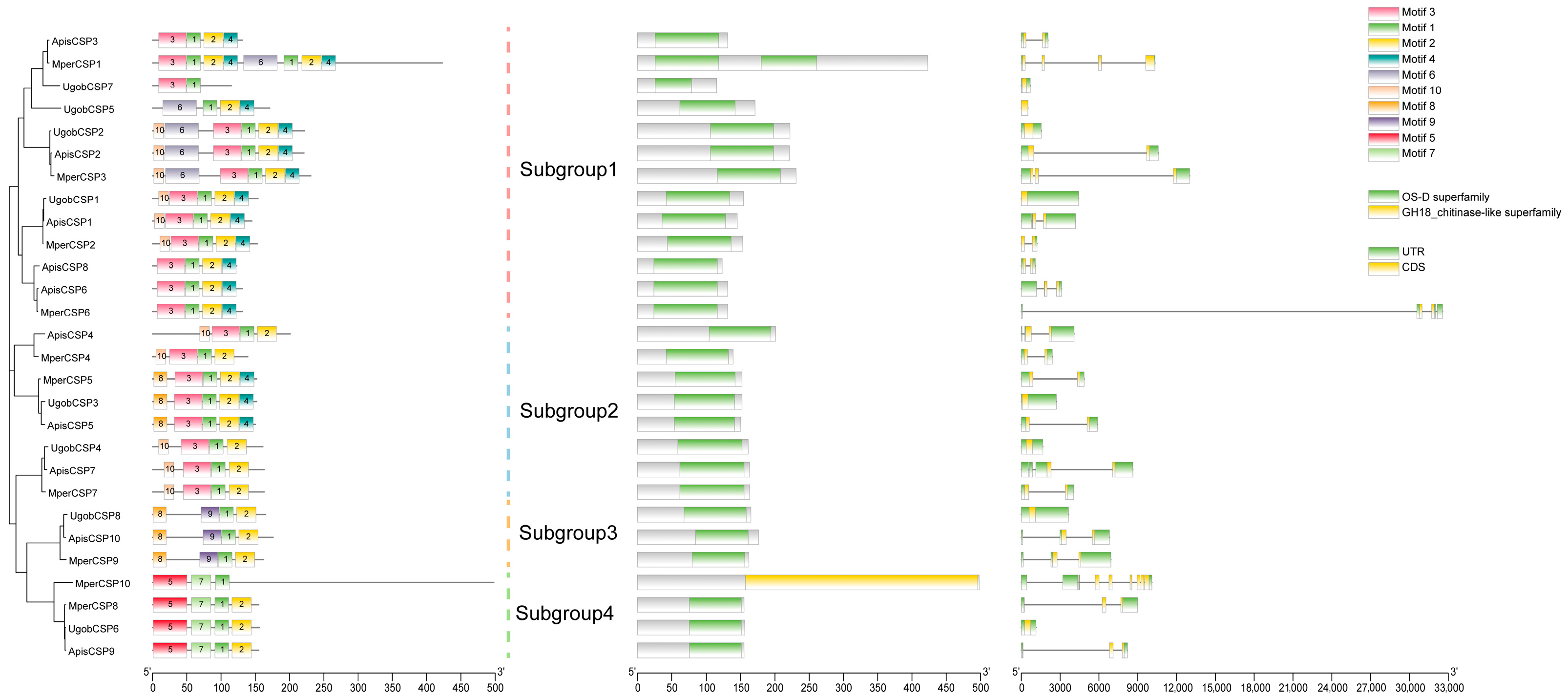 Ecological Adaptation in the Chemosensory Gene Repertoire of the ...