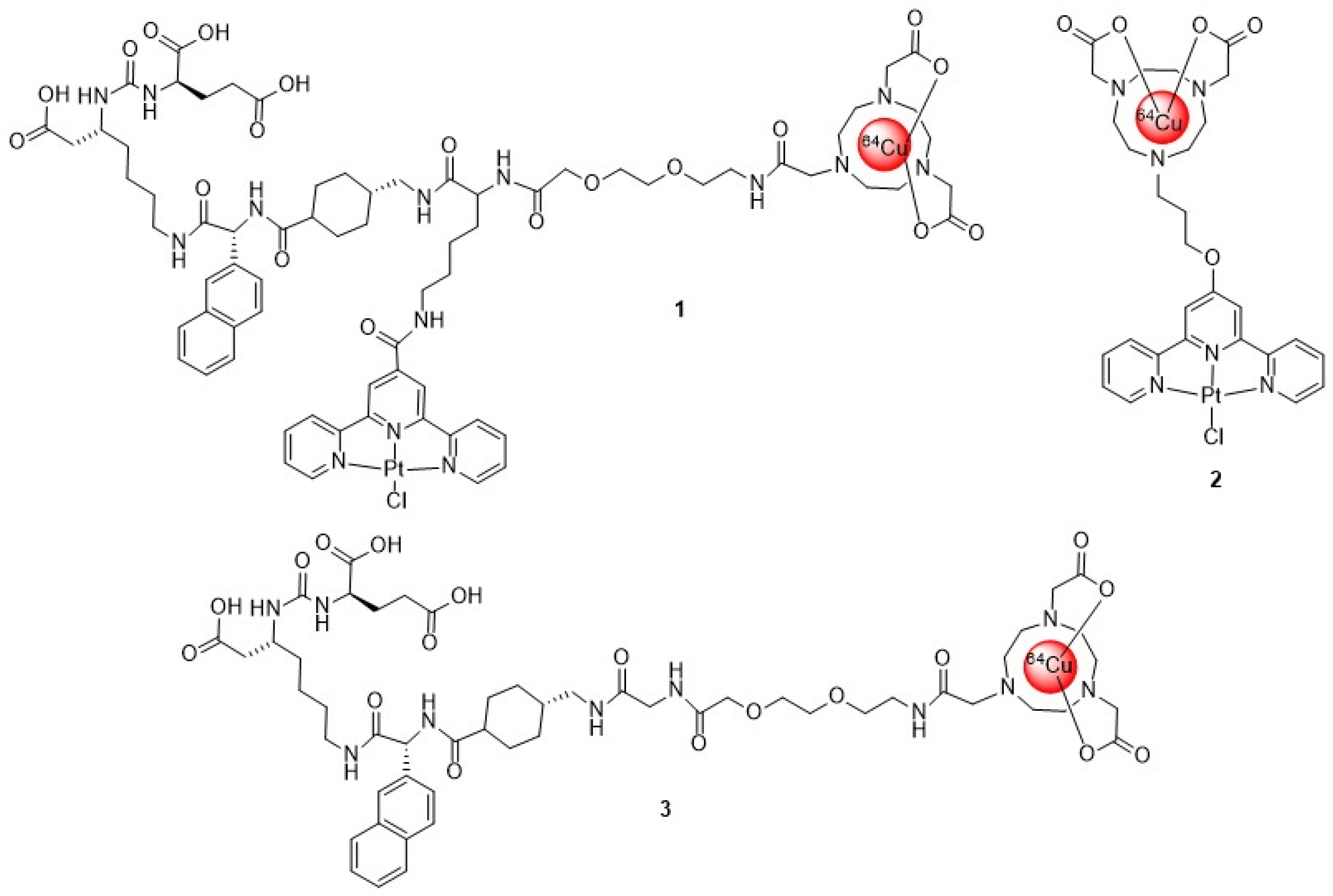 Development and In Vitro Evaluation of [64Cu]Cu-NOTA-TP-PSMA, a Novel ...