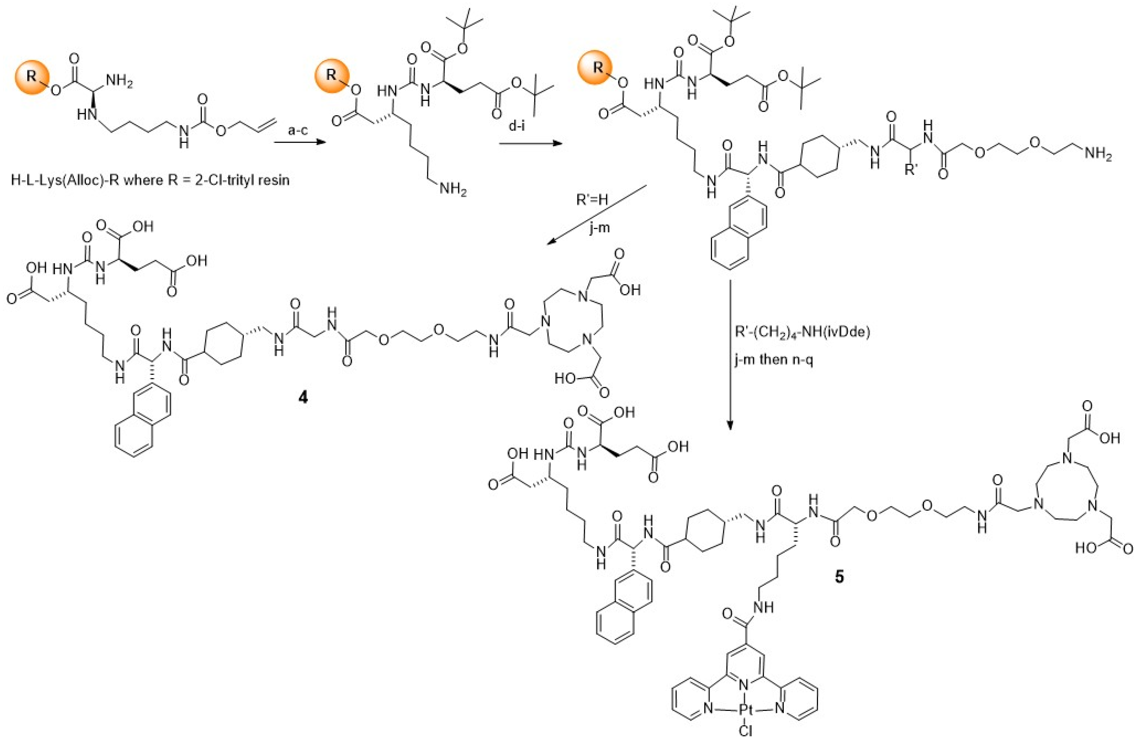 Development and In Vitro Evaluation of [64Cu]Cu-NOTA-TP-PSMA, a Novel ...