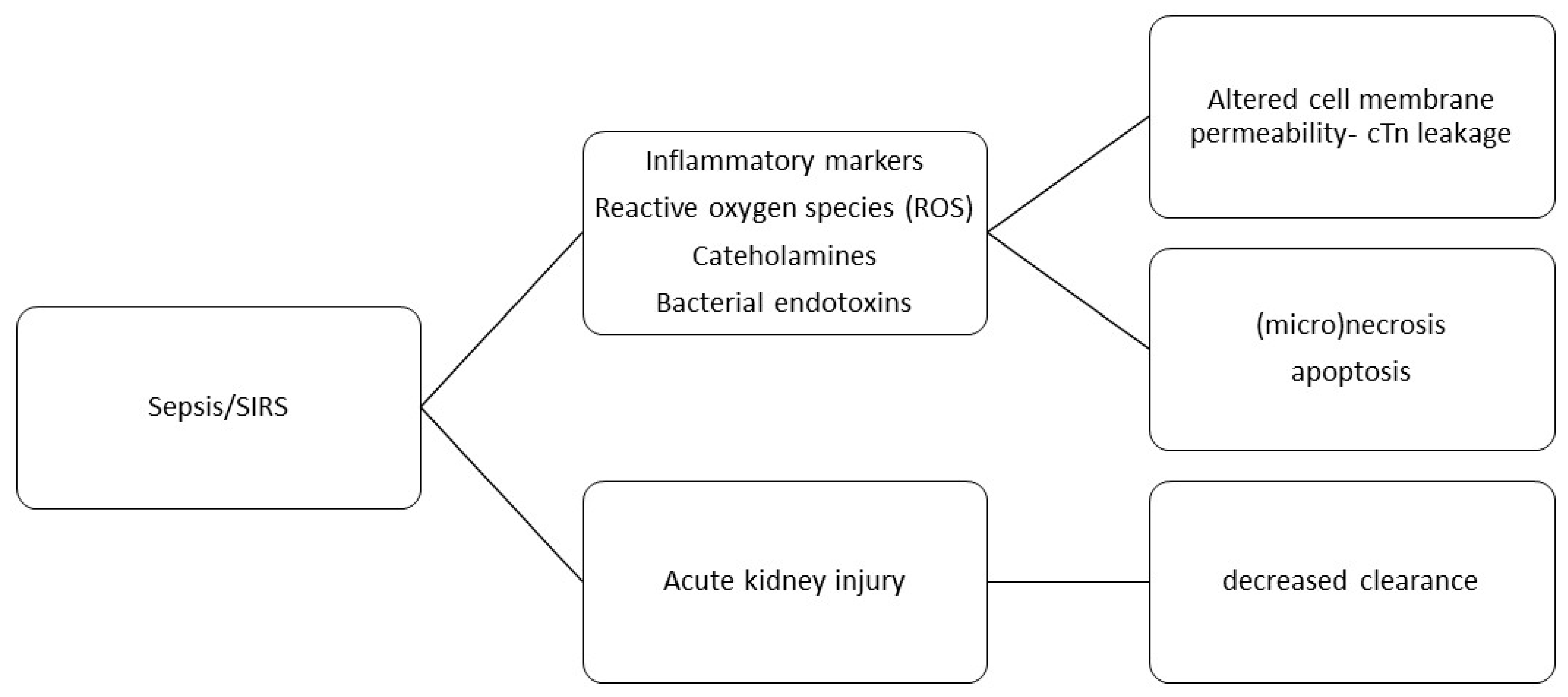 Elevated Cardiac Troponin in Non-Cardiac Conditions Unrelated to Acute ...