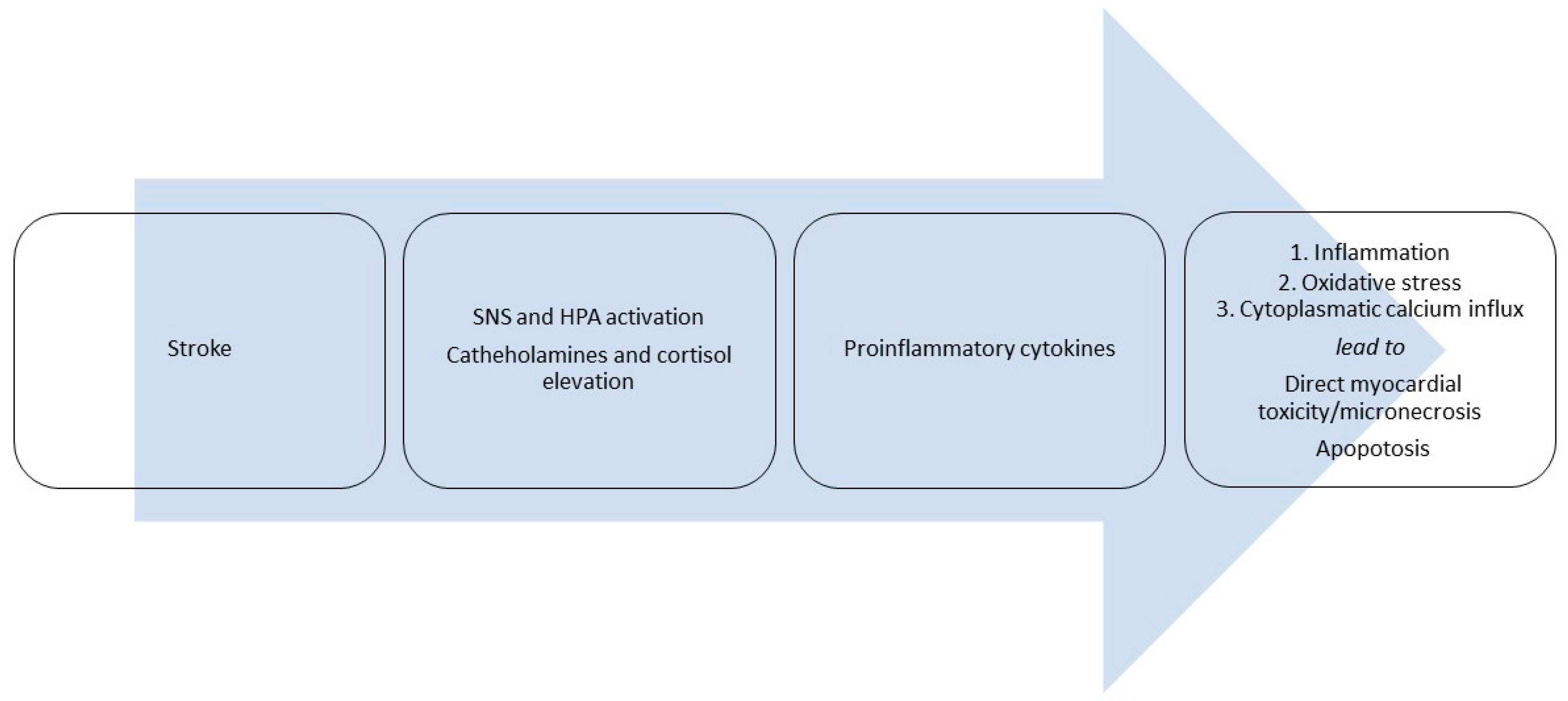 Elevated Cardiac Troponin in Non-Cardiac Conditions Unrelated to Acute ...