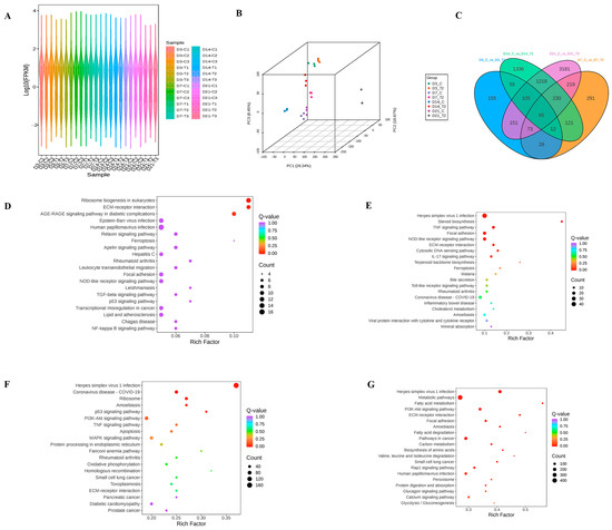 Transcriptomics and Metabolomics Insights into the Dysregulation of ...