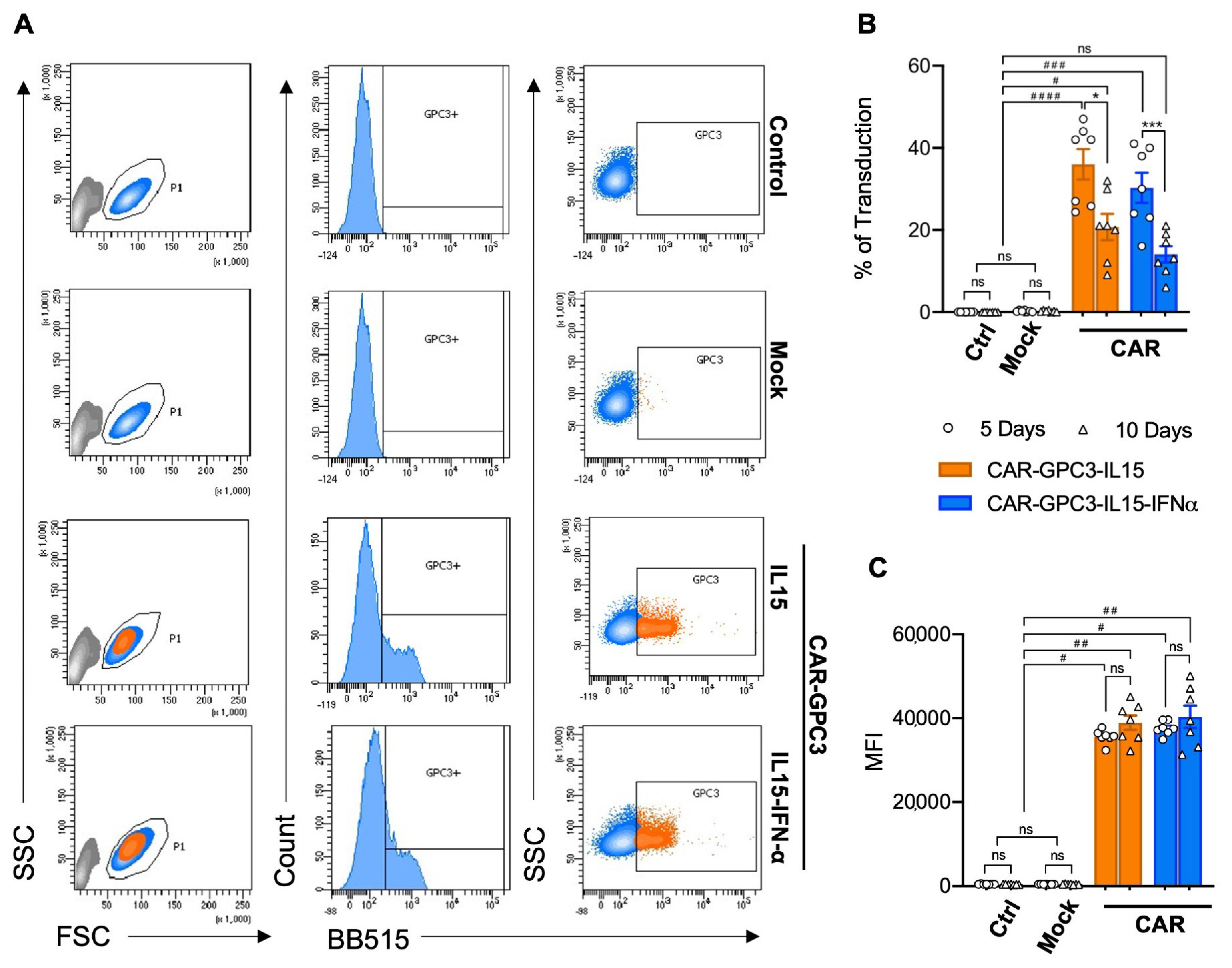 Glypican-3-Specific CAR NK Cells Co-Secreting IL-15 and IFN-α Have ...