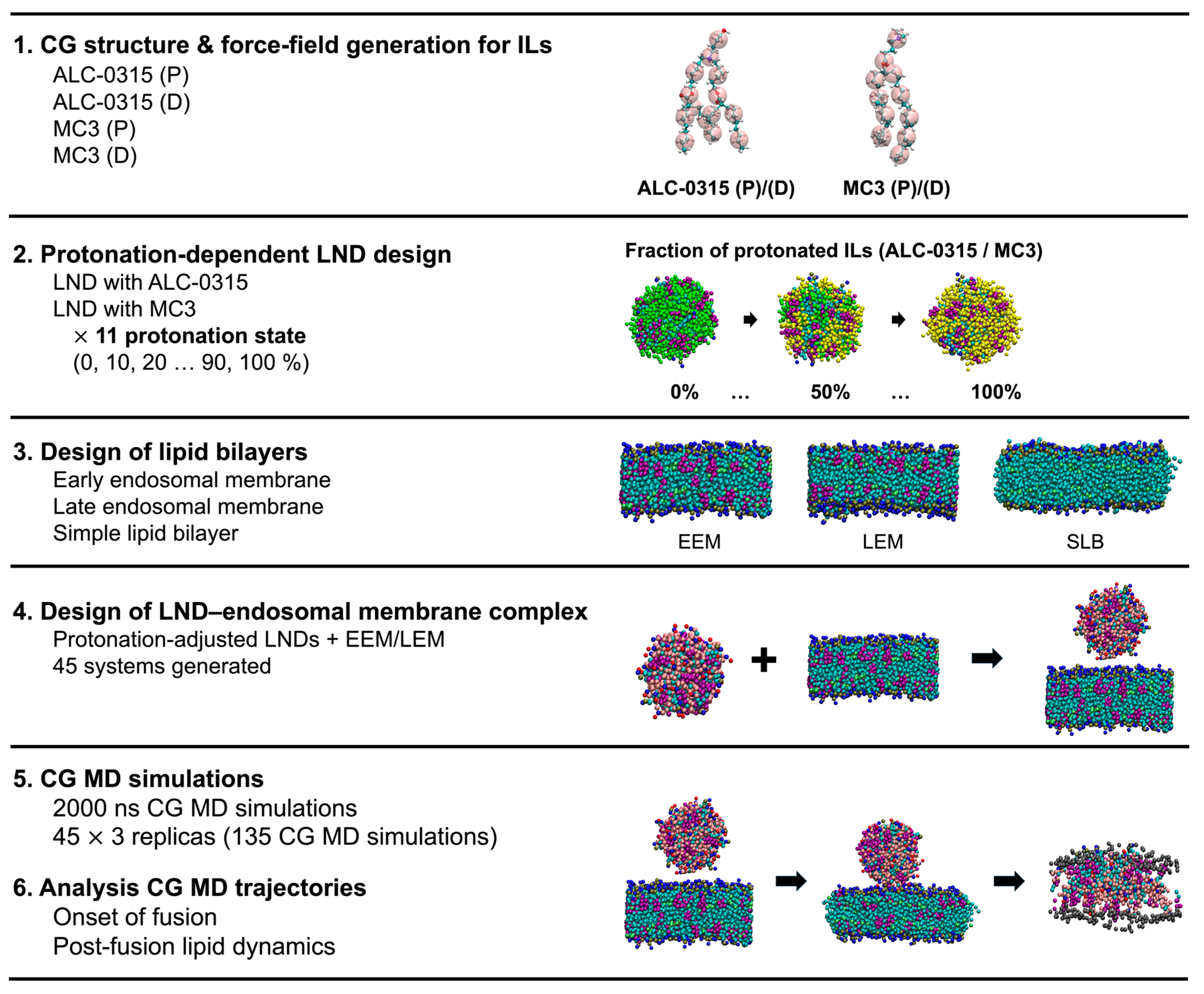 Coarse-Grained Molecular Dynamics Simulations of Lipid Nanodroplets and ...