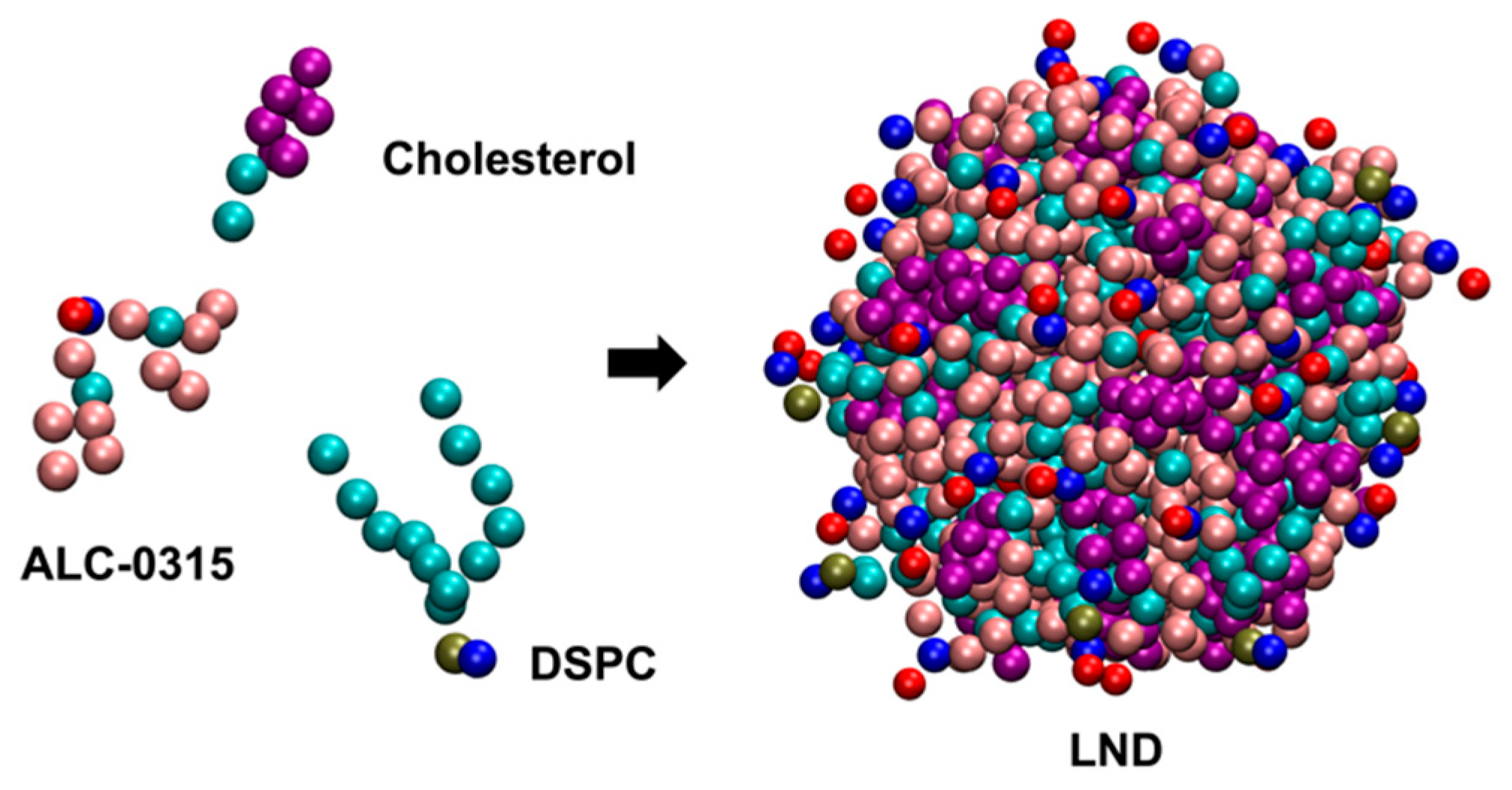 Coarse-Grained Molecular Dynamics Simulations of Lipid Nanodroplets and ...