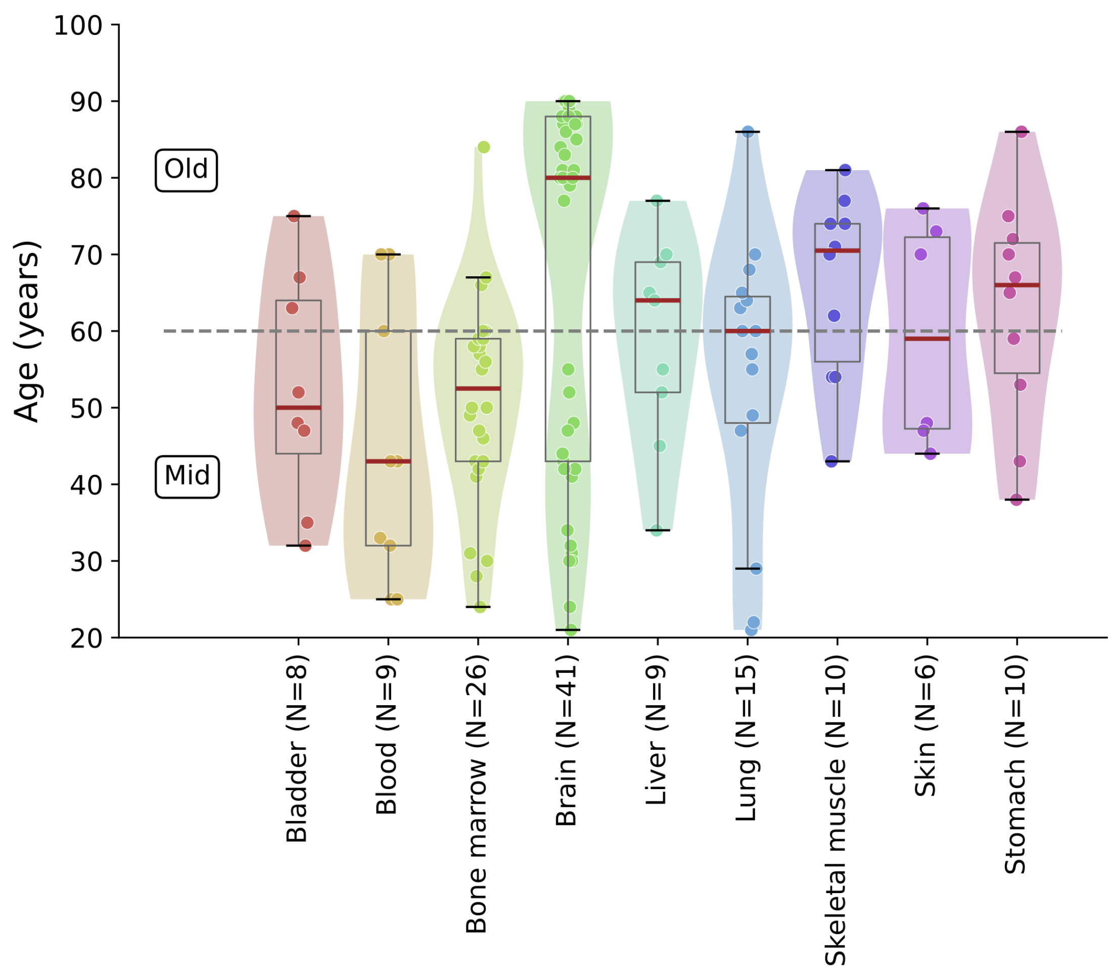 Discovering Candidate Anti-Aging Perturbations Using a Foundation Model ...